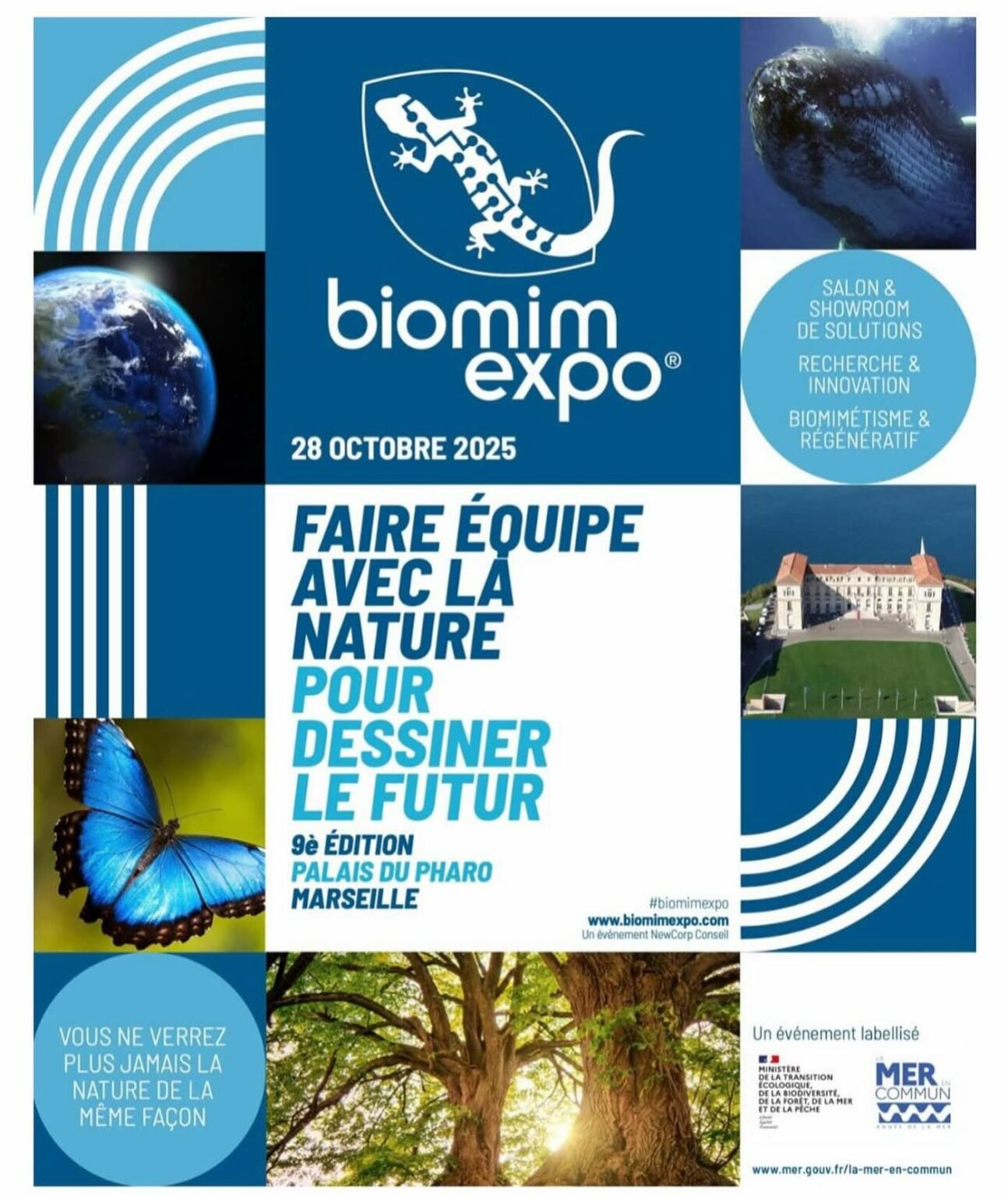 Actualités de l'Institut océanographique Paul Ricard – Océan, Climat et ...