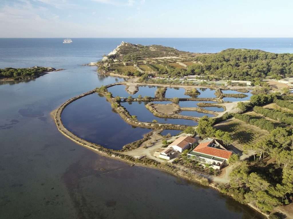 Actualités de l'Institut océanographique Paul Ricard – Océan, Climat et ...